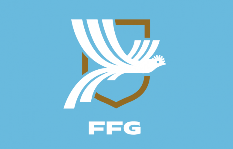 FFG PRESENTA SU NUEVO LOGO INSPIRADO SIEMPRE EN EL AVE NACIONAL: EL ...